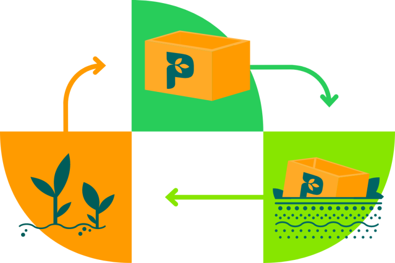 Corn Pack is a sustainable material in the packaging sector